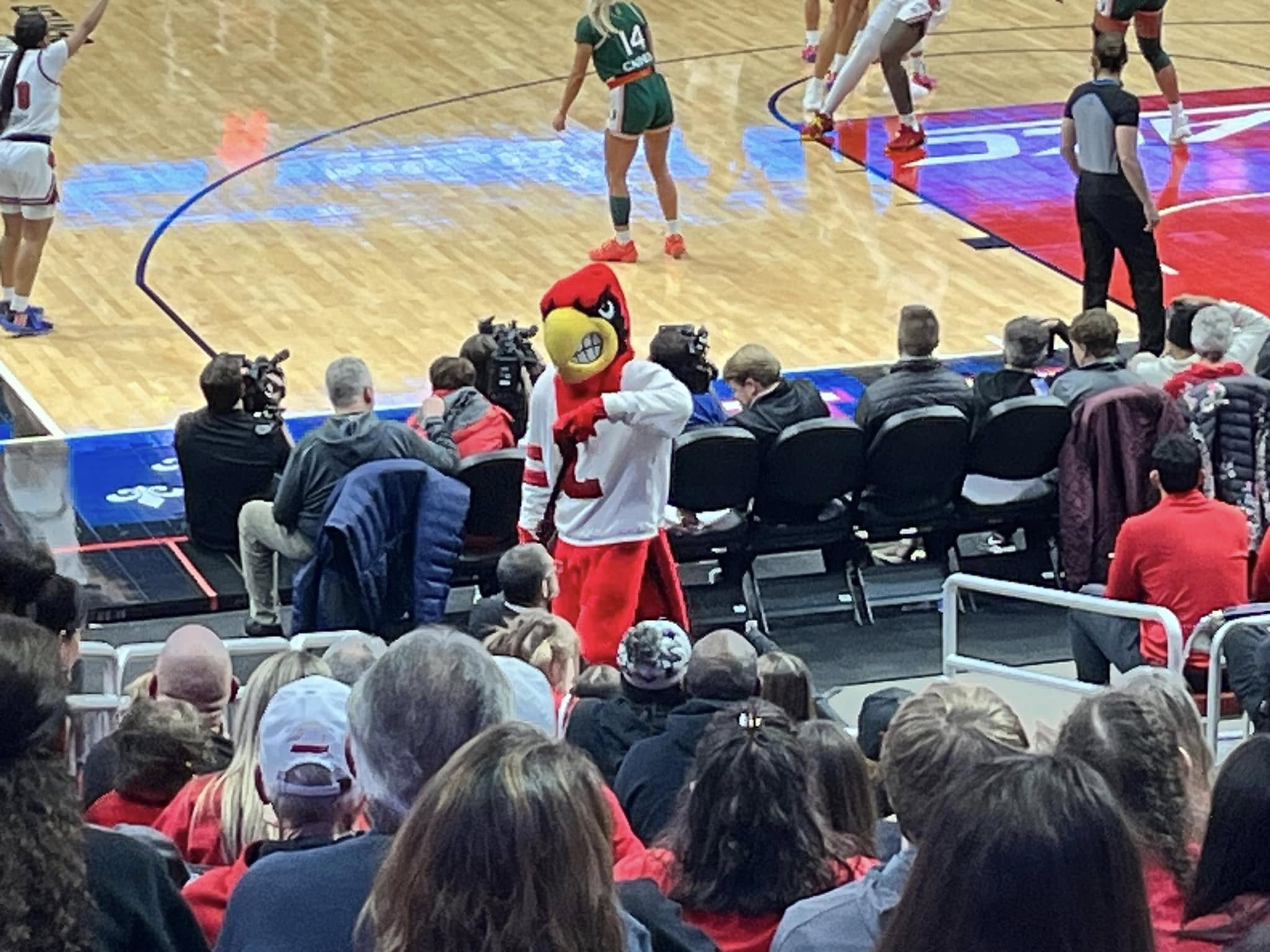 Louisville Favored to Beat Kentucky Tuesday Night - Nation of Blue